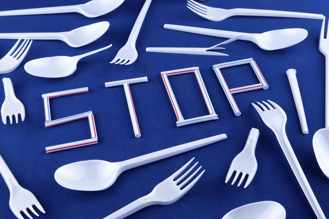 Unmasking the Plastic Crisis: An Insightful Discussion with the Plasti